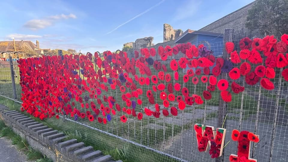 WI members hand crochet poppies for Aberystwyth VE Day display ...