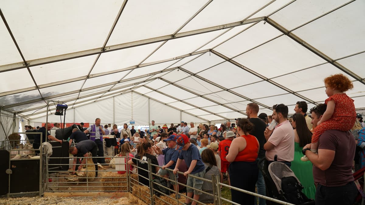 Thousands visit Glynllifon marquee at Caernarfon Food Festival ...