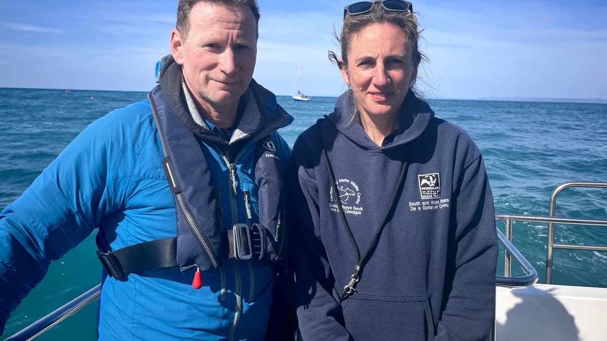 Marine detectives shine a light on secret lives of Cardigan Bay ...