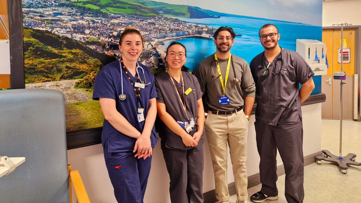 New wall art brightens up Bronglais stroke ward | cambrian-news.co.uk