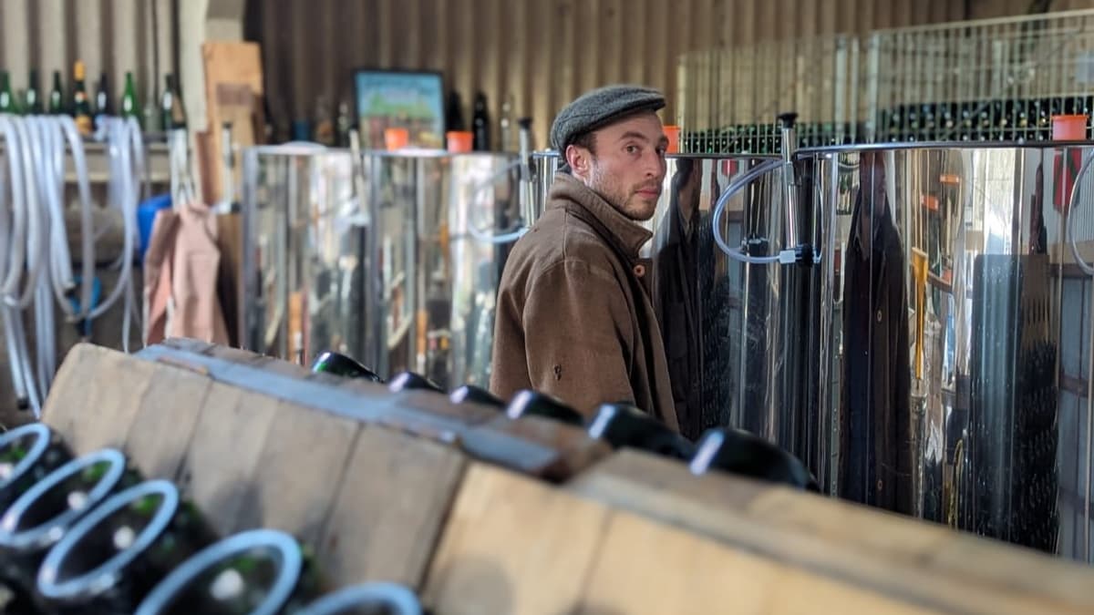 Machynlleth cider producer goes head-to-head in new business ...