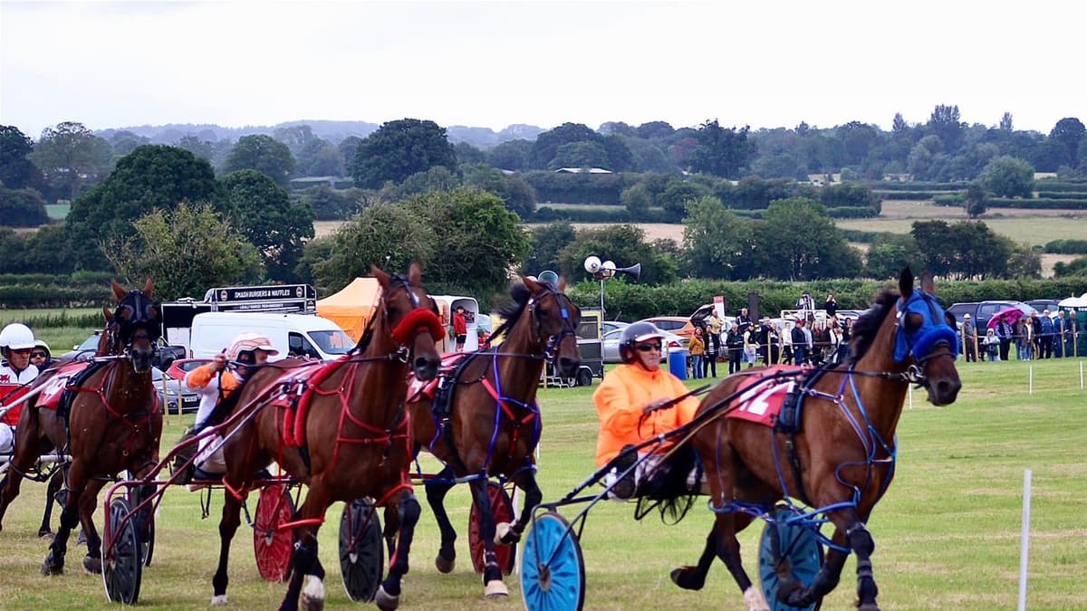 Happy Hands triumphs at Wales & Border Counties Harness Racing meeting ...