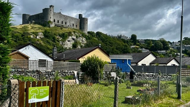 Harlech Community Garden wins prestigious Green Flag Award | cambrian ...