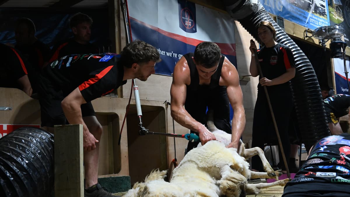 Gethin and Llyr smash British shearing record | cambrian-news.co.uk