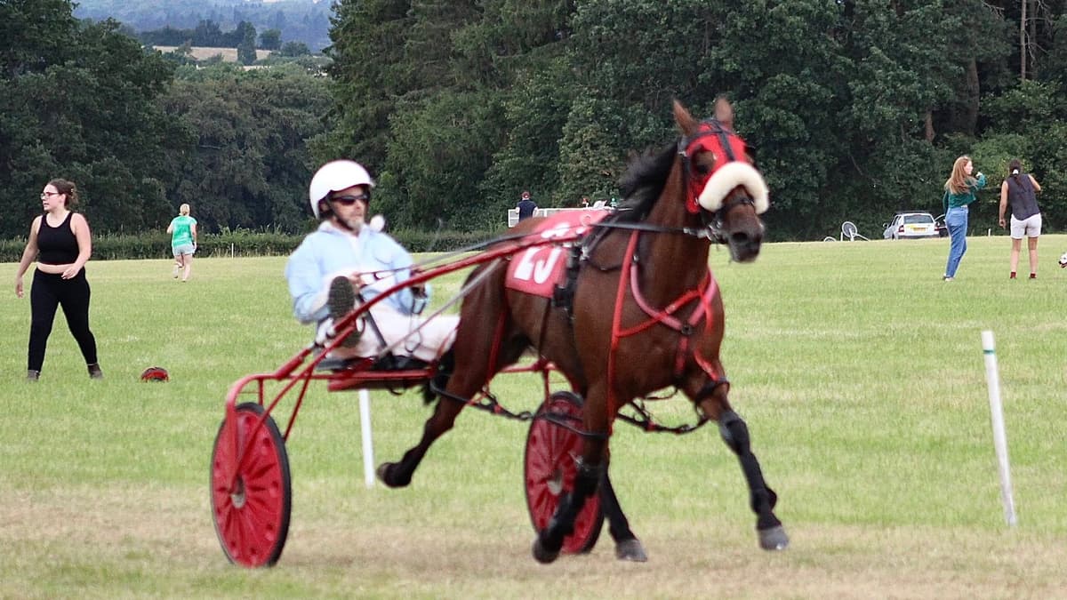 Wales & Border Counties Harness Racing: Mayhem Queen wins novice final ...
