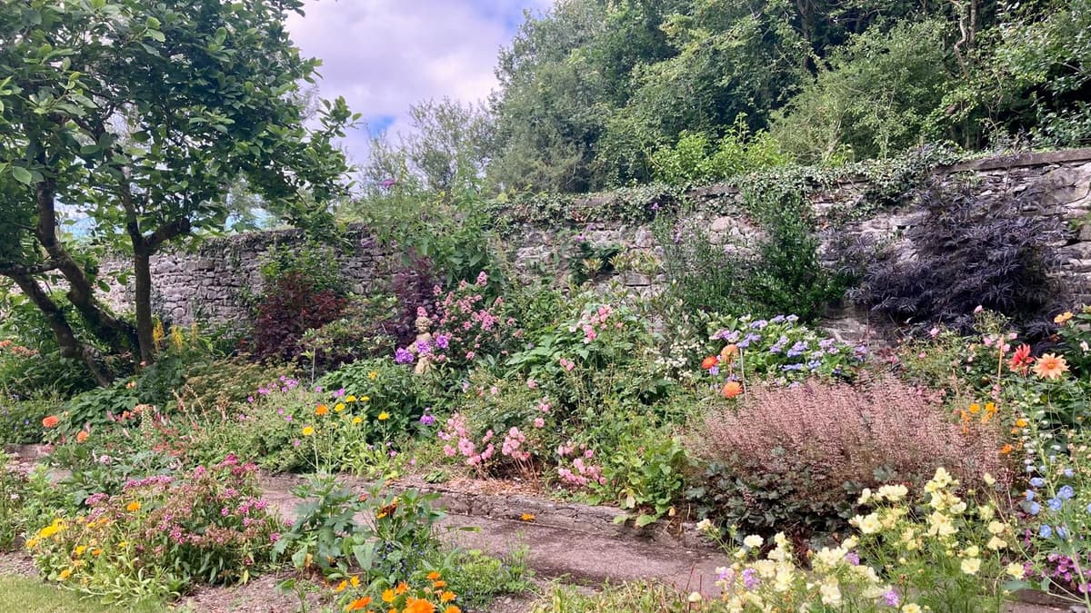 Llanrhystud garden gets new life with Arthur Newman's latest project ...