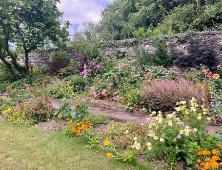 Llanrhystud garden gets new life with Arthur Newman's latest project ...