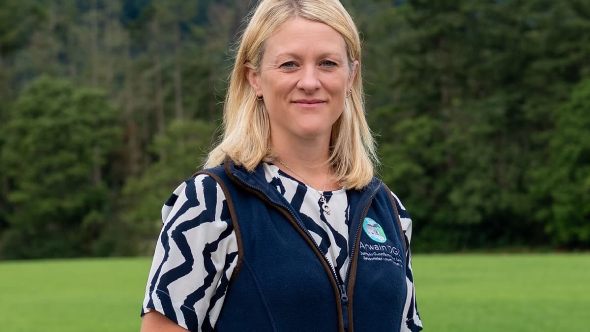 Aberystwyth veterinary academic awarded prestigious fellowship ...