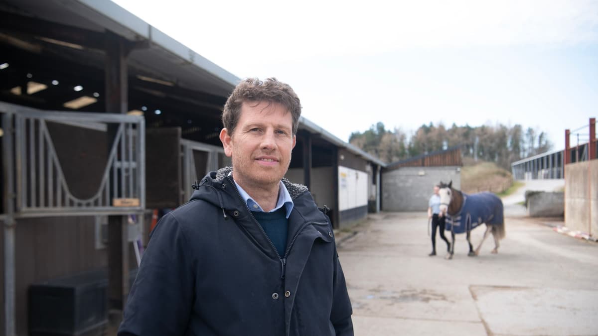 Aber scientists study stress in horses | cambrian-news.co.uk