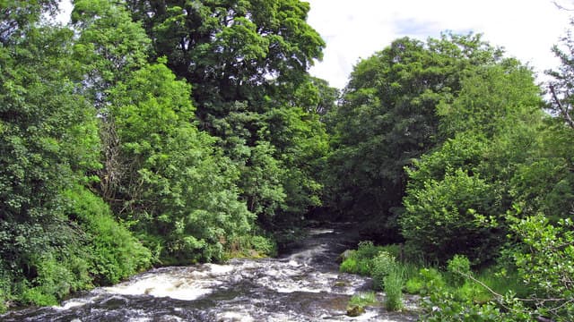 £716 fine for illegal river fishing | cambrian-news.co.uk