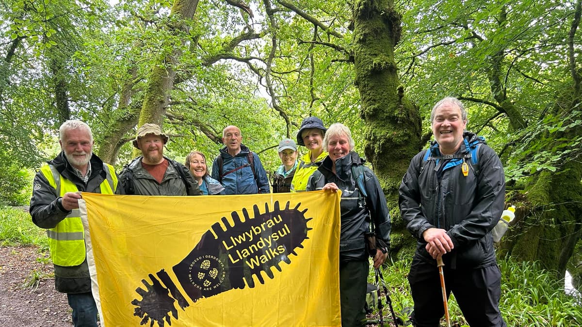 Walking festival returns to Teifi Valley | cambrian-news.co.uk