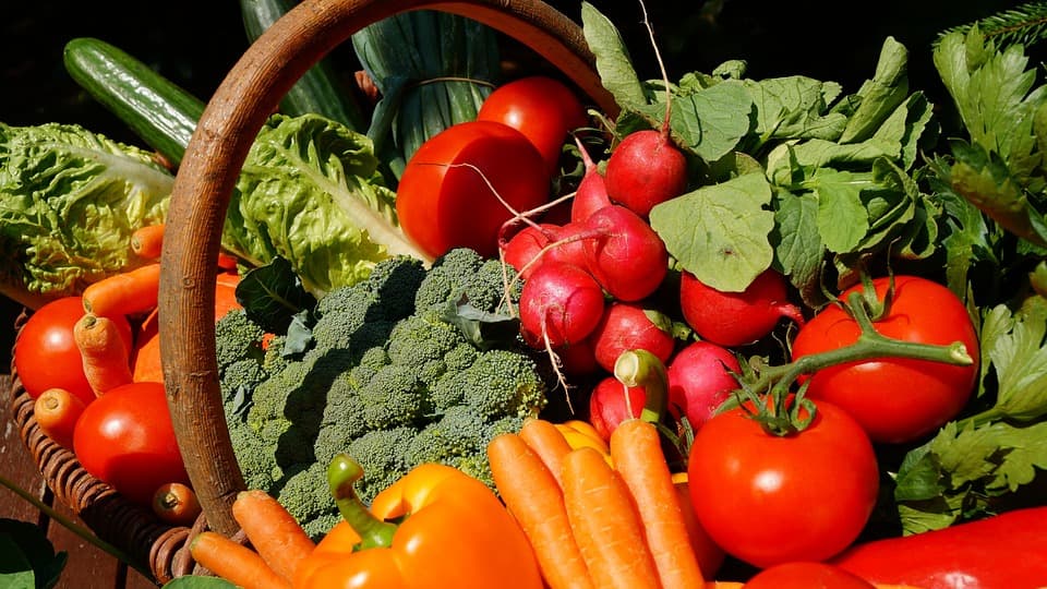 Regional food system urgently needed in mid Wales, report finds ...