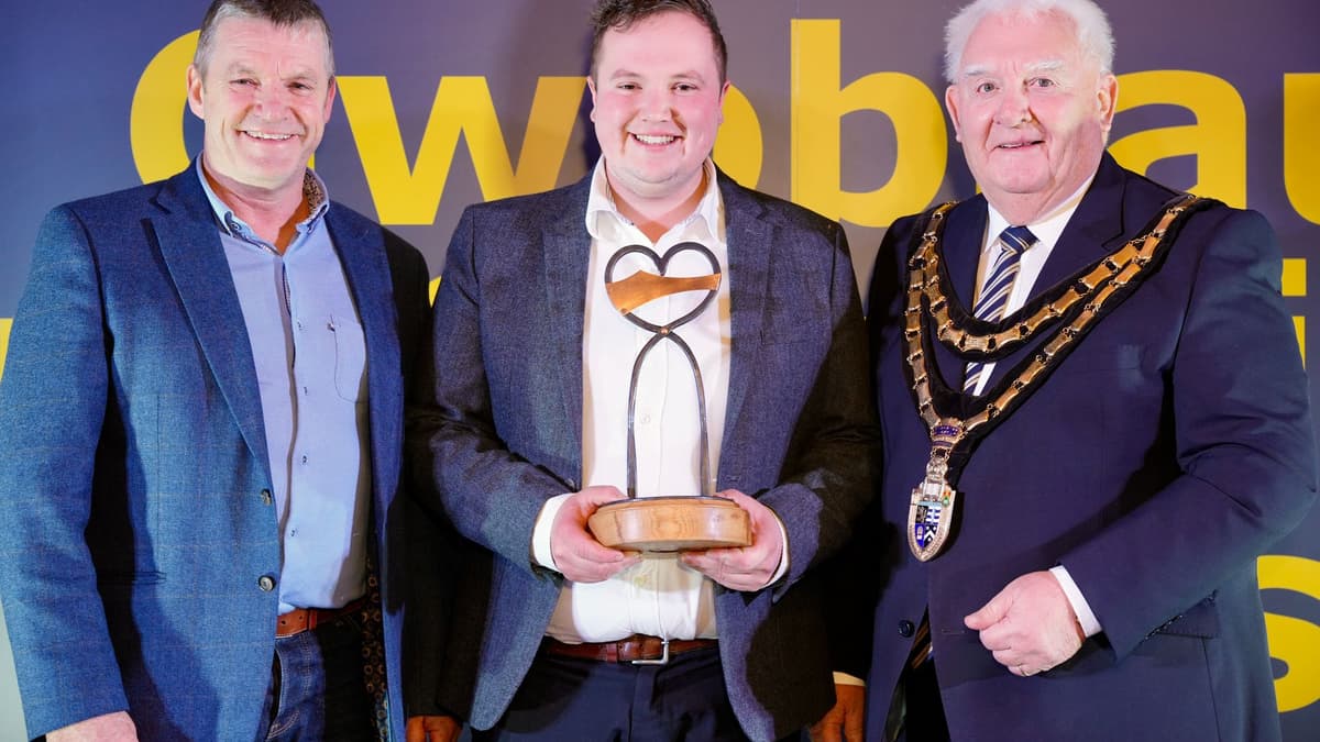 Council seeking entries for it Caru Ceredigion Awards | cambrian-news.co.uk