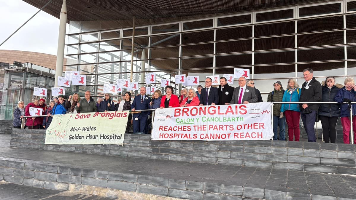 Bronglais campaigners on steps of the Senedd ahead of debate | cambrian ...