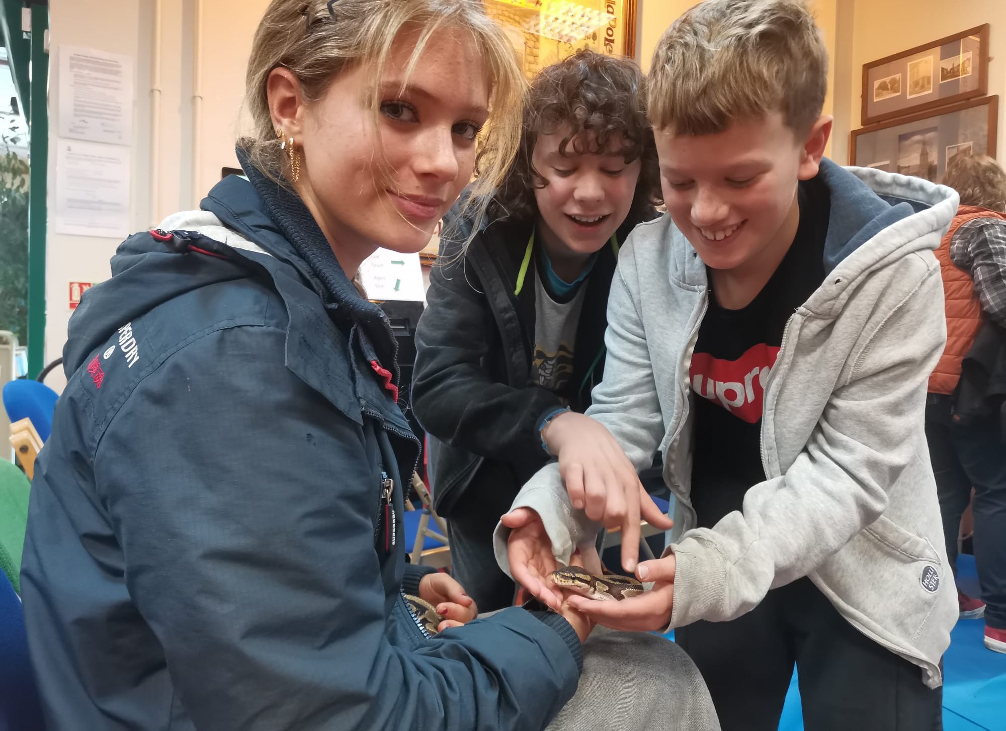 Autumn fun as tarantulas and dragons take over Machynlleth library ...