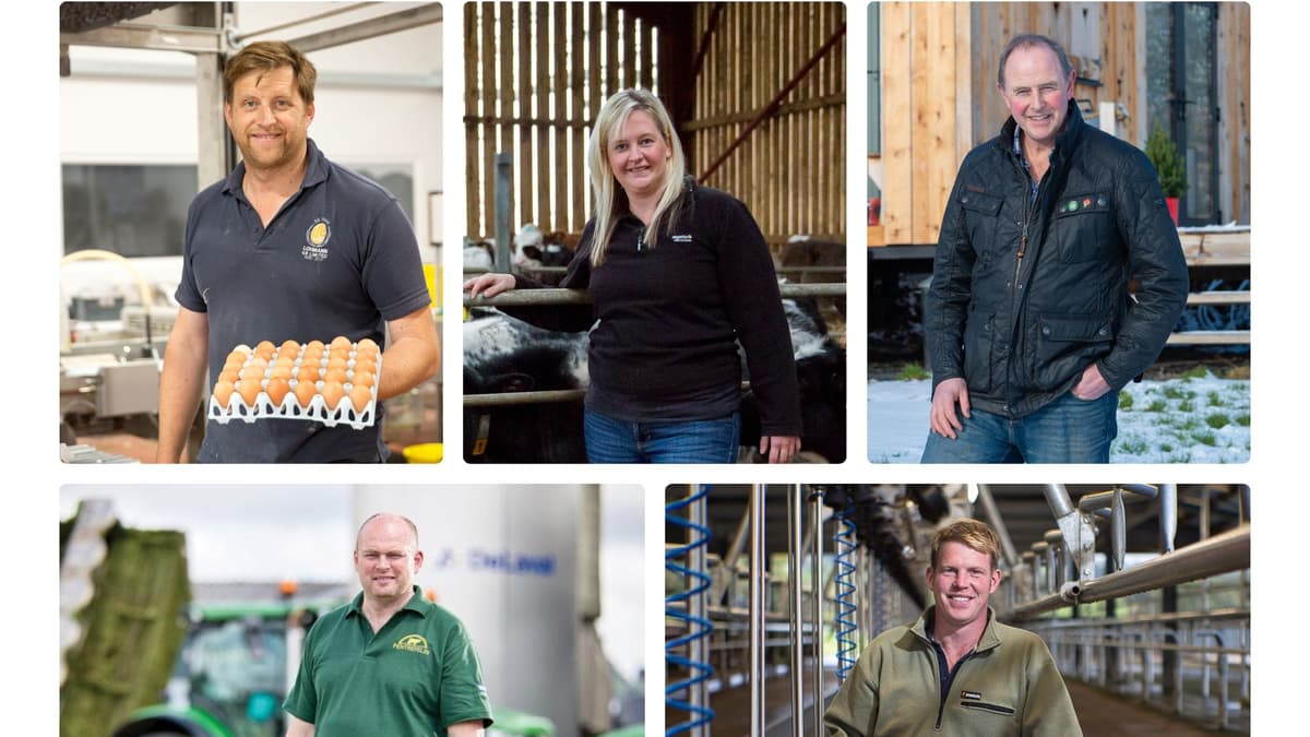 Project offering paid work experience on commercial farms | cambrian ...