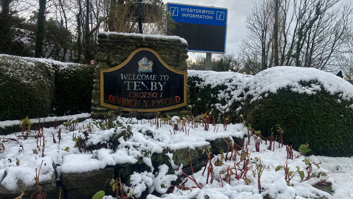 Xxx msbreewc terbaru