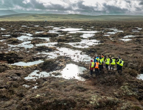 National Trust and Admiral invest £180,000 in Eryri peatland ...