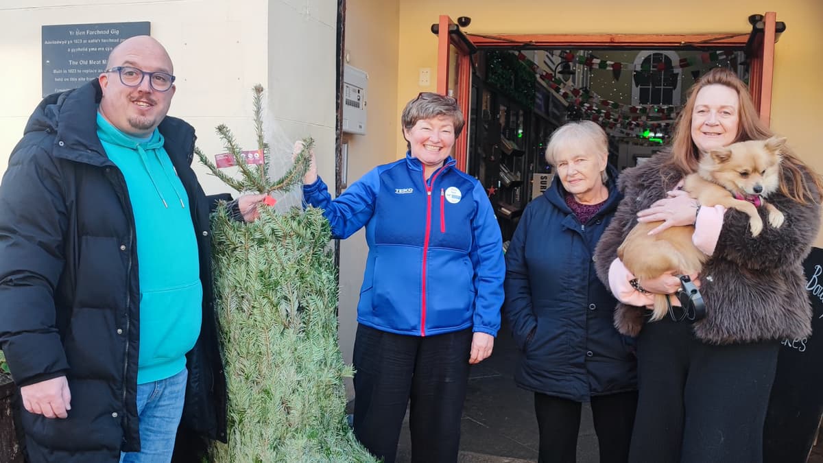 Aberystwyth supermarket donates Christmas tree to market traders ...
