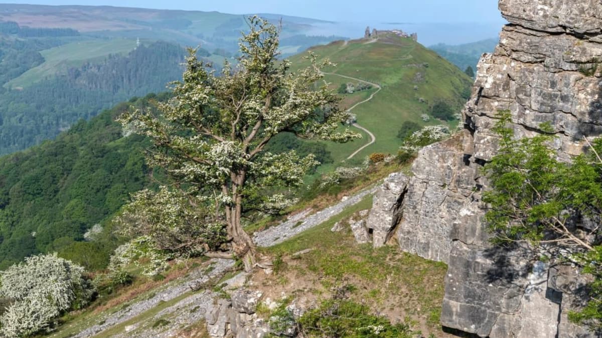 North east Wales national park plan 'a dead duck' | cambrian-news.co.uk