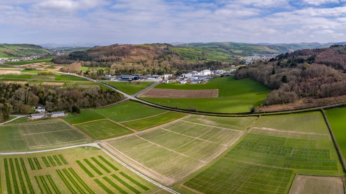 Aberystwyth Institute member of new UK elite research group | cambrian-news.co.uk