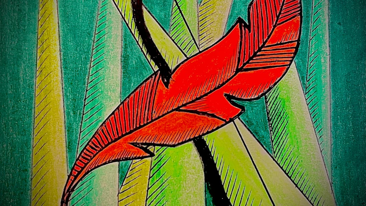 Jess Roberts takes inspiration from Aberystwyth pantomime, Robin Hood ...