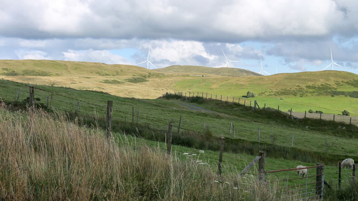 Public consultation launched for Foel Fach Wind Farm near Bala ...