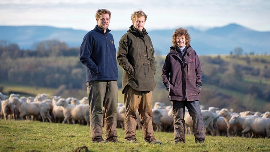 Welsh sheep genetics programme proves transformative | cambrian-news.co.uk