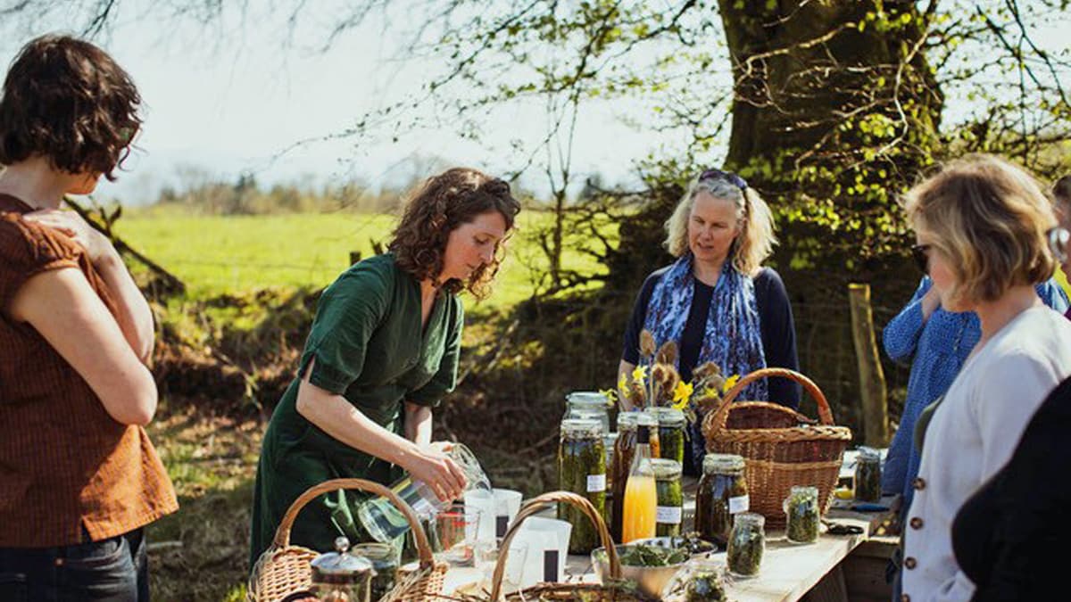 Explore traditional skills with a Strata Florida 2026 course | cambrian ...