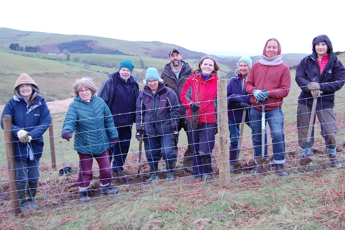 Mid Wales flood victims don wellies and shovels planting 40,000 trees to slow the flow