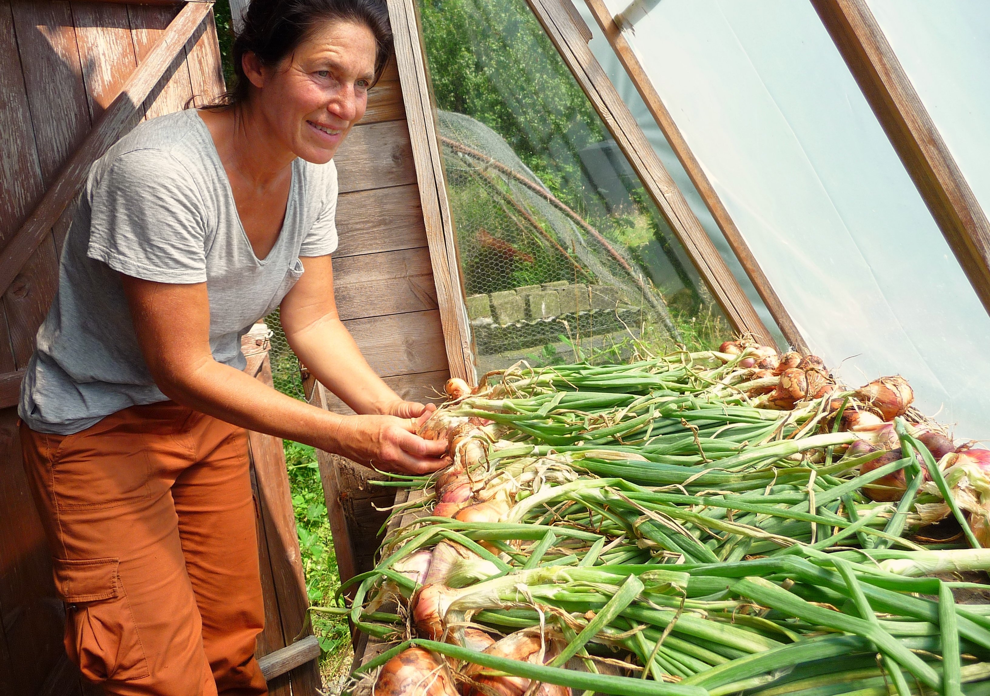 Learn how to build a glamping nature reserve with volunteer days at ...