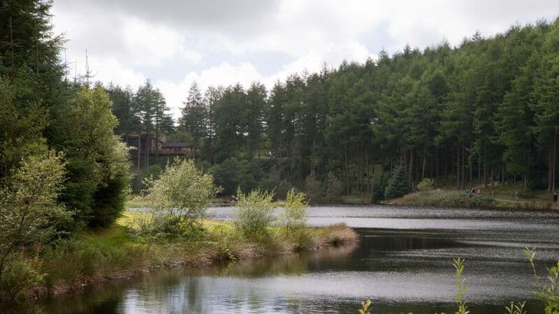 Car park and trails closed as NRW starts tree-felling at Nant yr Arian ...