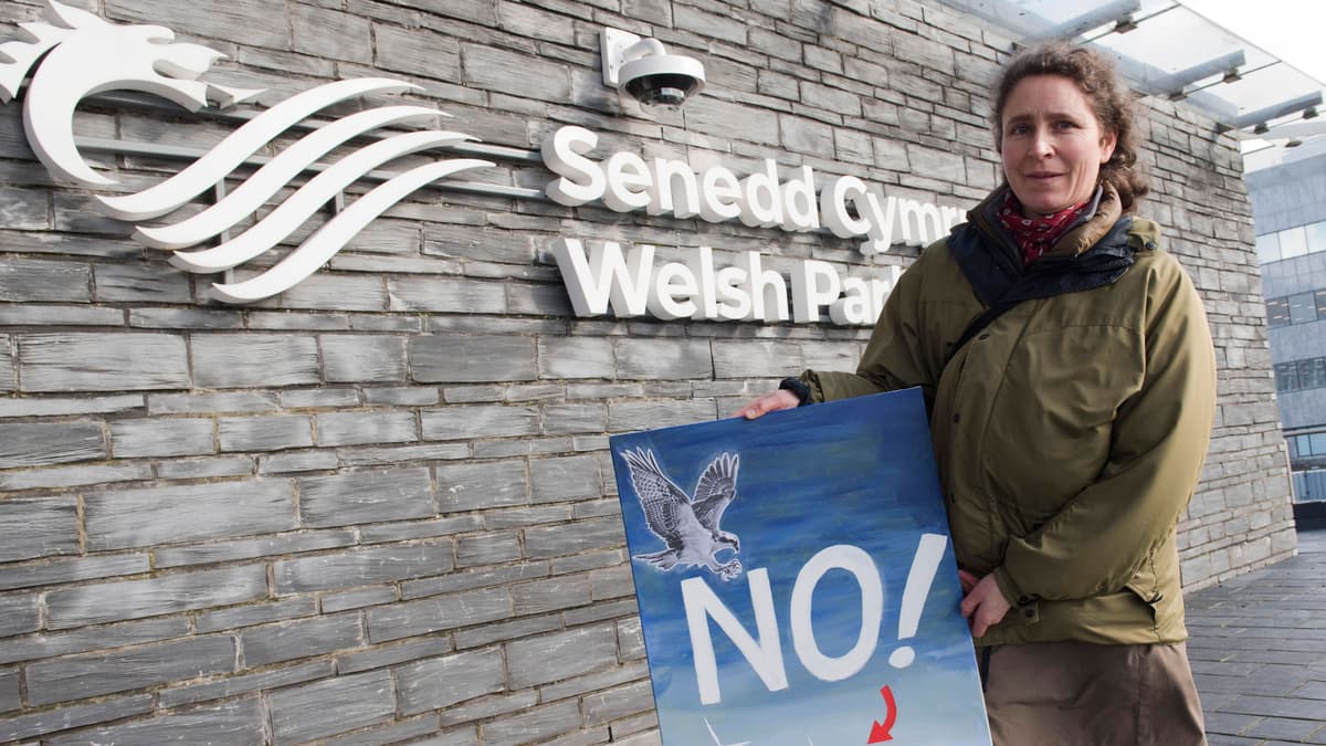 Wales' environment is in crisis: Here's what your Senedd candidates ...