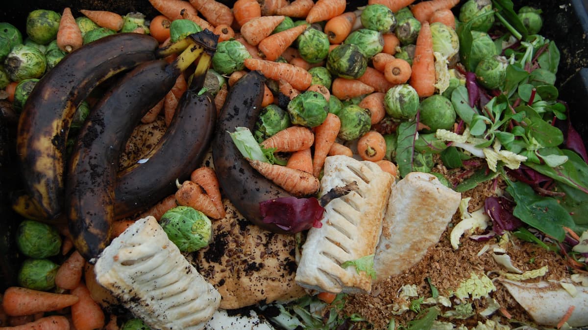 Meet the couple recycling one town’s food waste | cambrian-news.co.uk