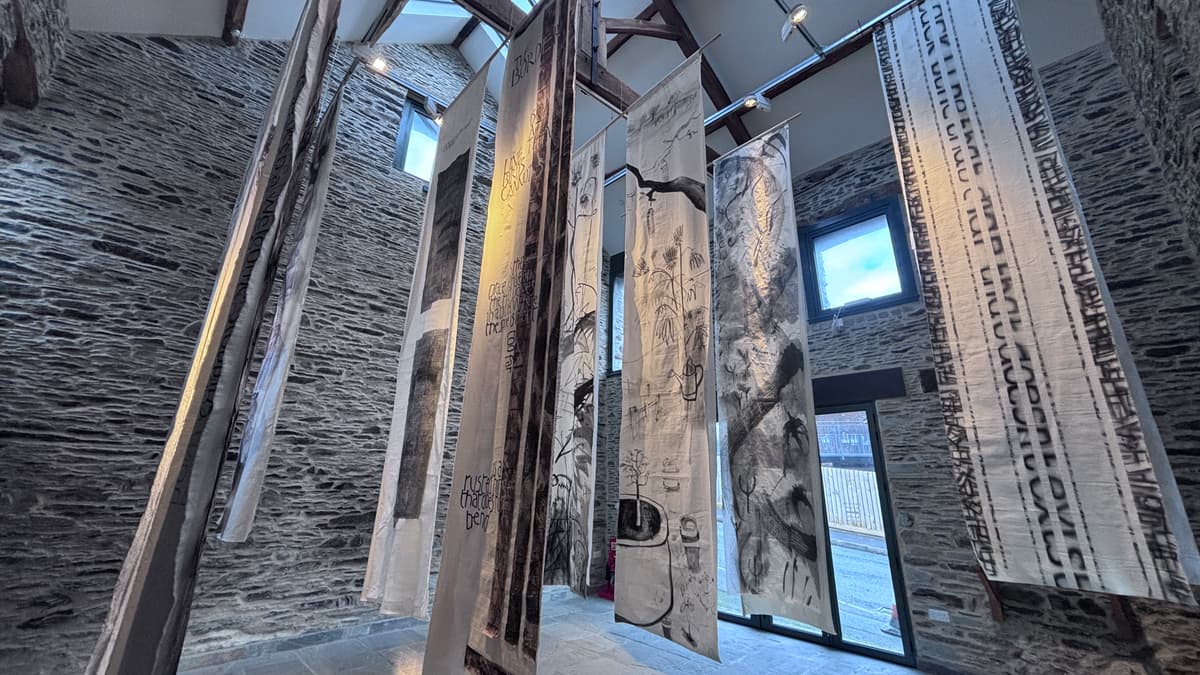 Explore 'Boundaries' at MOMA Machynlleth | cambrian-news.co.uk