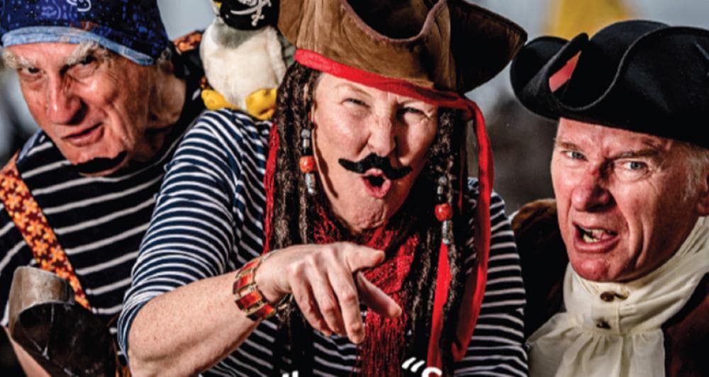 Hardy's 'Return of the Native' and 'The Mystery of the Pirate Lagoon ...