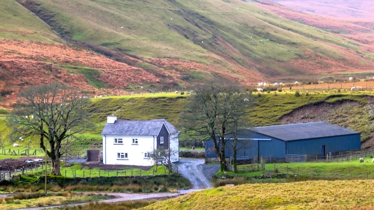 Elan Valley Trust seeks four new tenant farmers | cambrian-news.co.uk