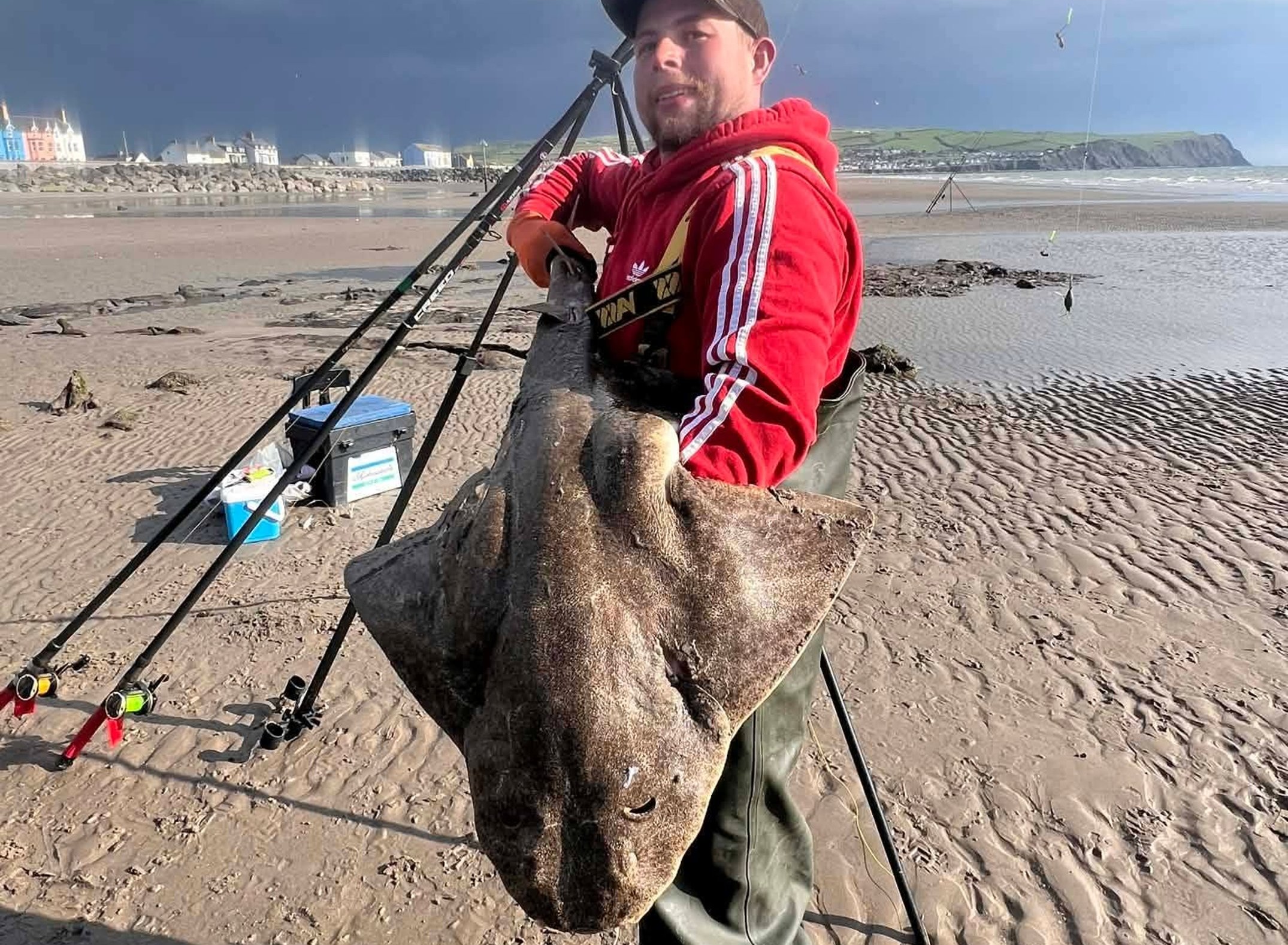 Cardigan Bay Coastal fishing report – late spring update | cambrian ...