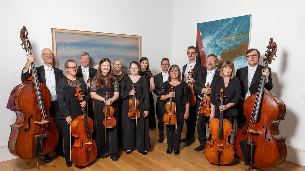 Welsh Chamber Orchestra to play concert in Machynlleth | cambrian-news ...