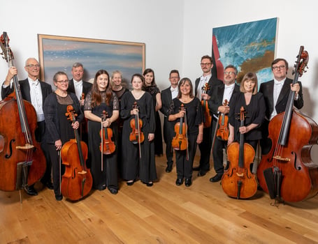 Welsh Chamber Orchestra to play concert in Machynlleth | cambrian-news ...