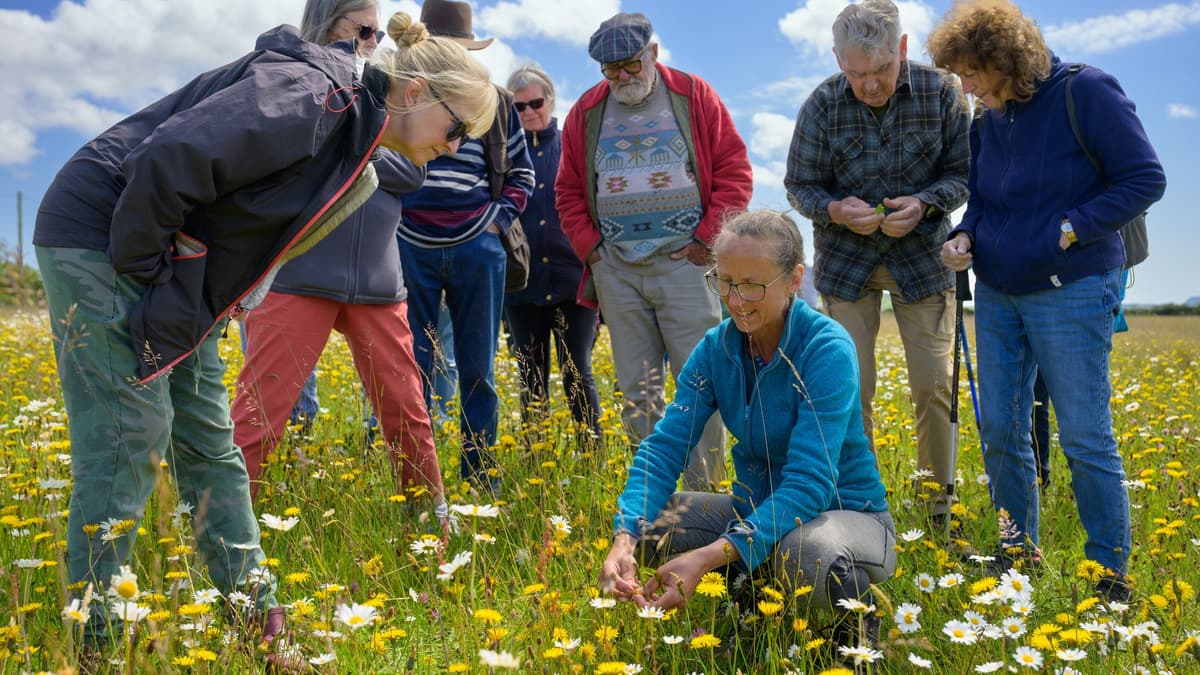 From golf to graveyards: Meet the people behind the growing movement to ...