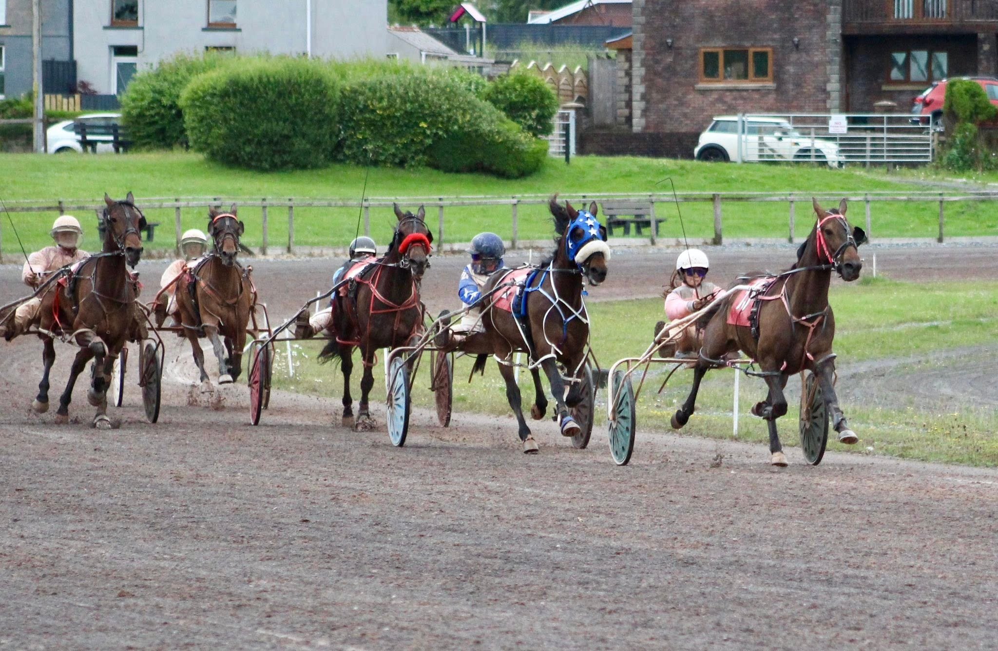 Wye Doon and World Famous star in harness racing thriller | cambrian ...